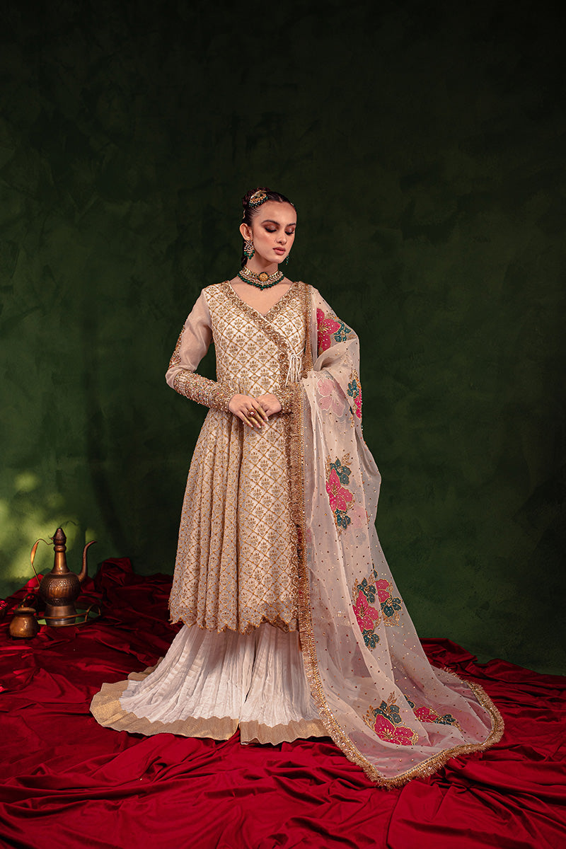 FALSAFA – Western.pk