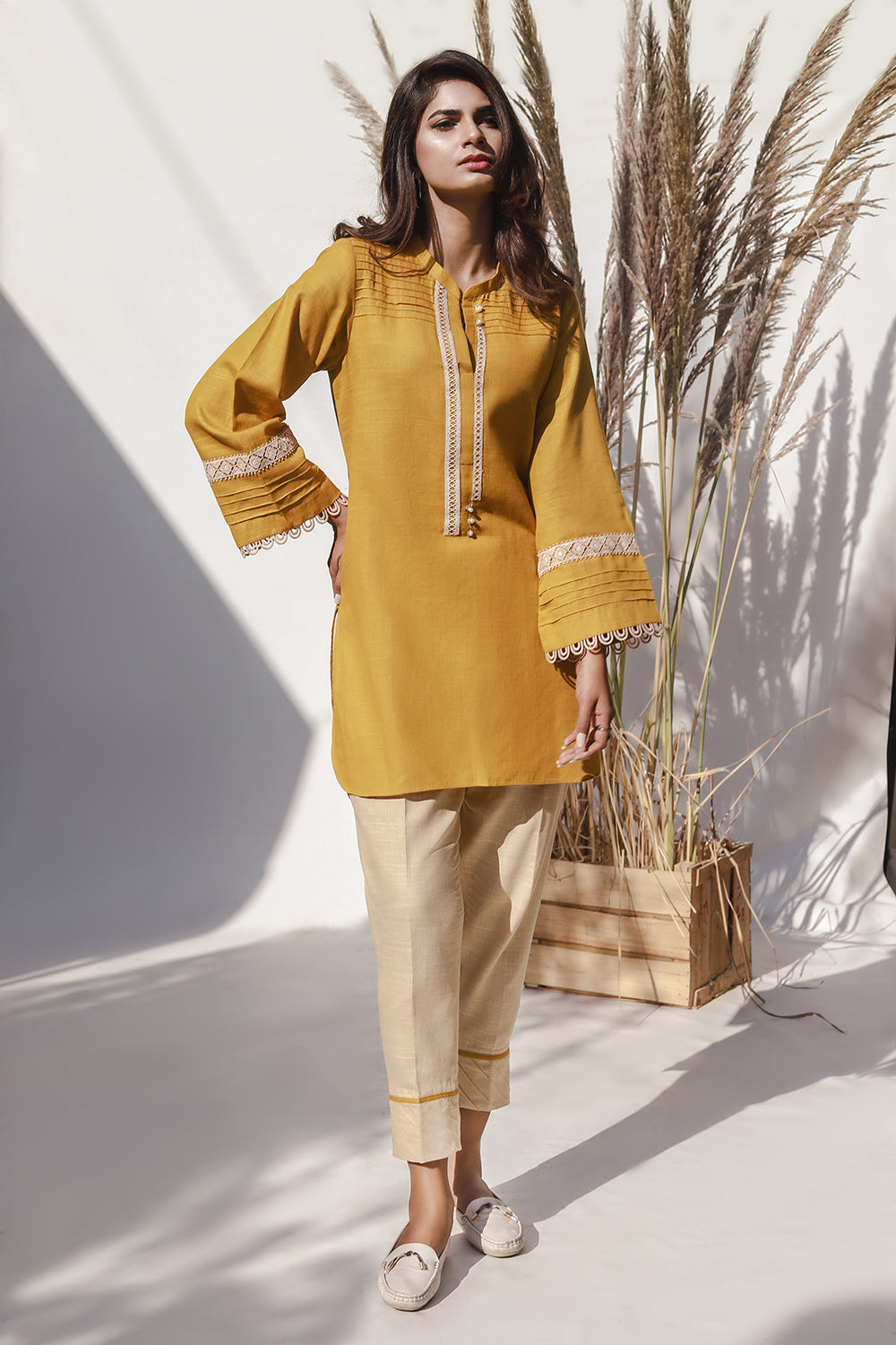 Daffodil – Western.pk