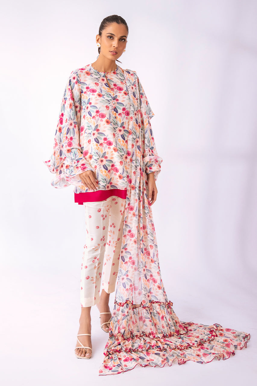 Haadi – Western.pk